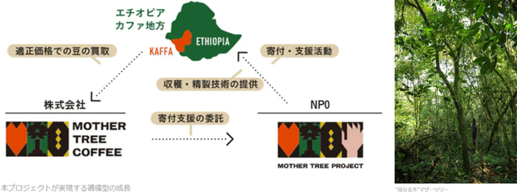 「MOTHER TREE PROJECT」への賛同を通じた取り組み | SBI FXトレード